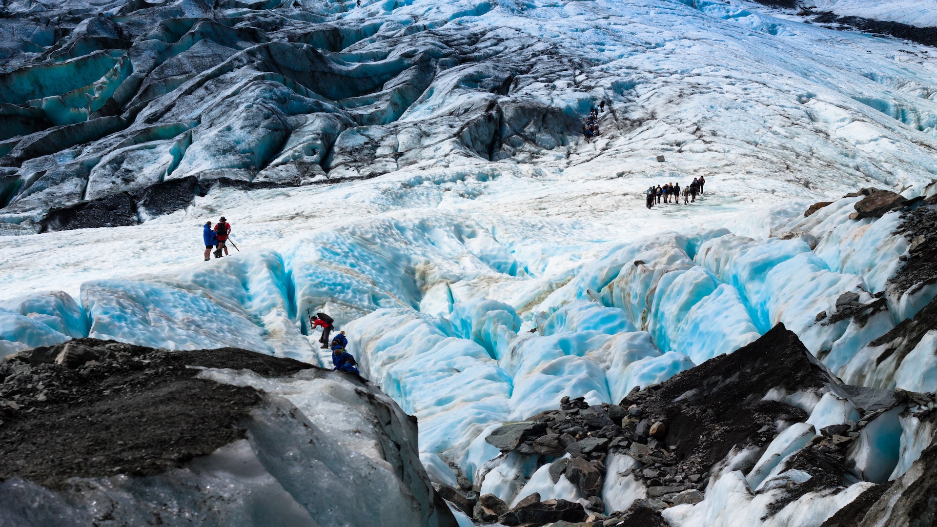 Franz Josef Glacier Helicopter & Hiking Tour - Tripvana