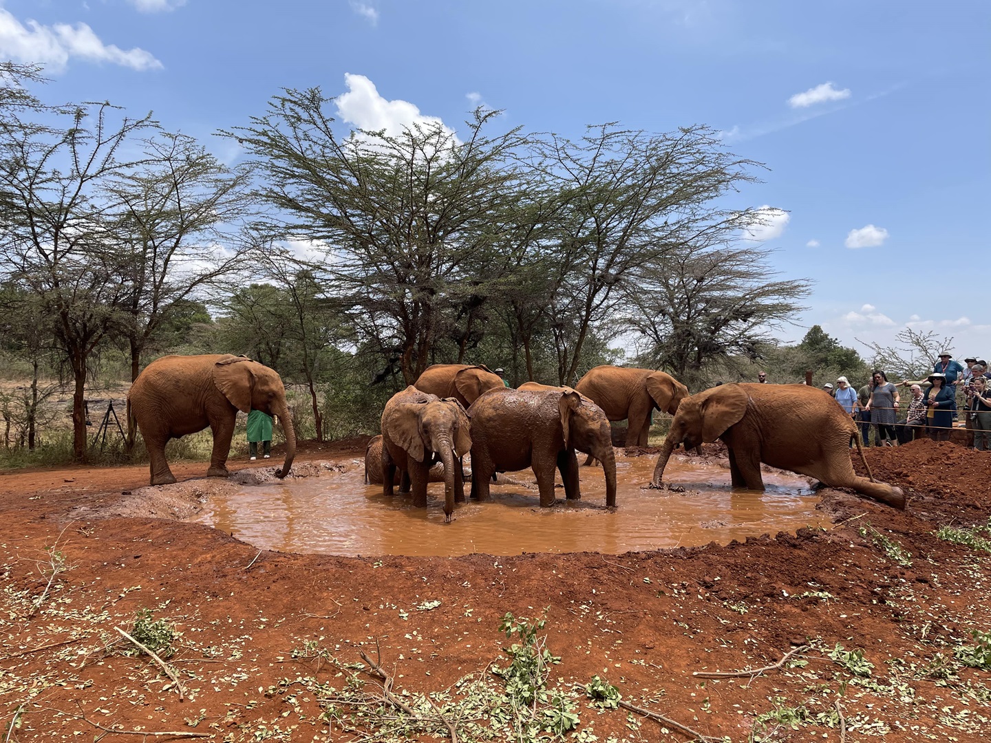 David Sheldrick Trust - Tripvana