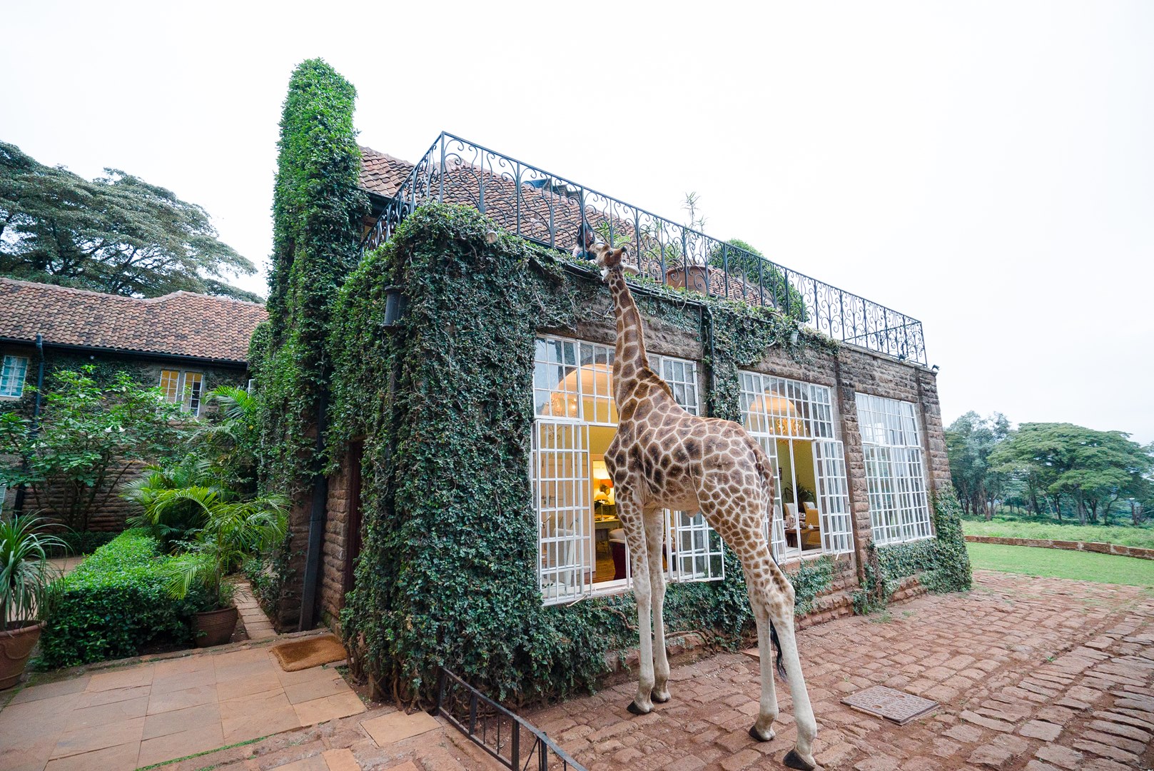 Giraffe Manor, Nairobi - Tripvana